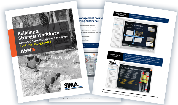 Advanced Snow Manager